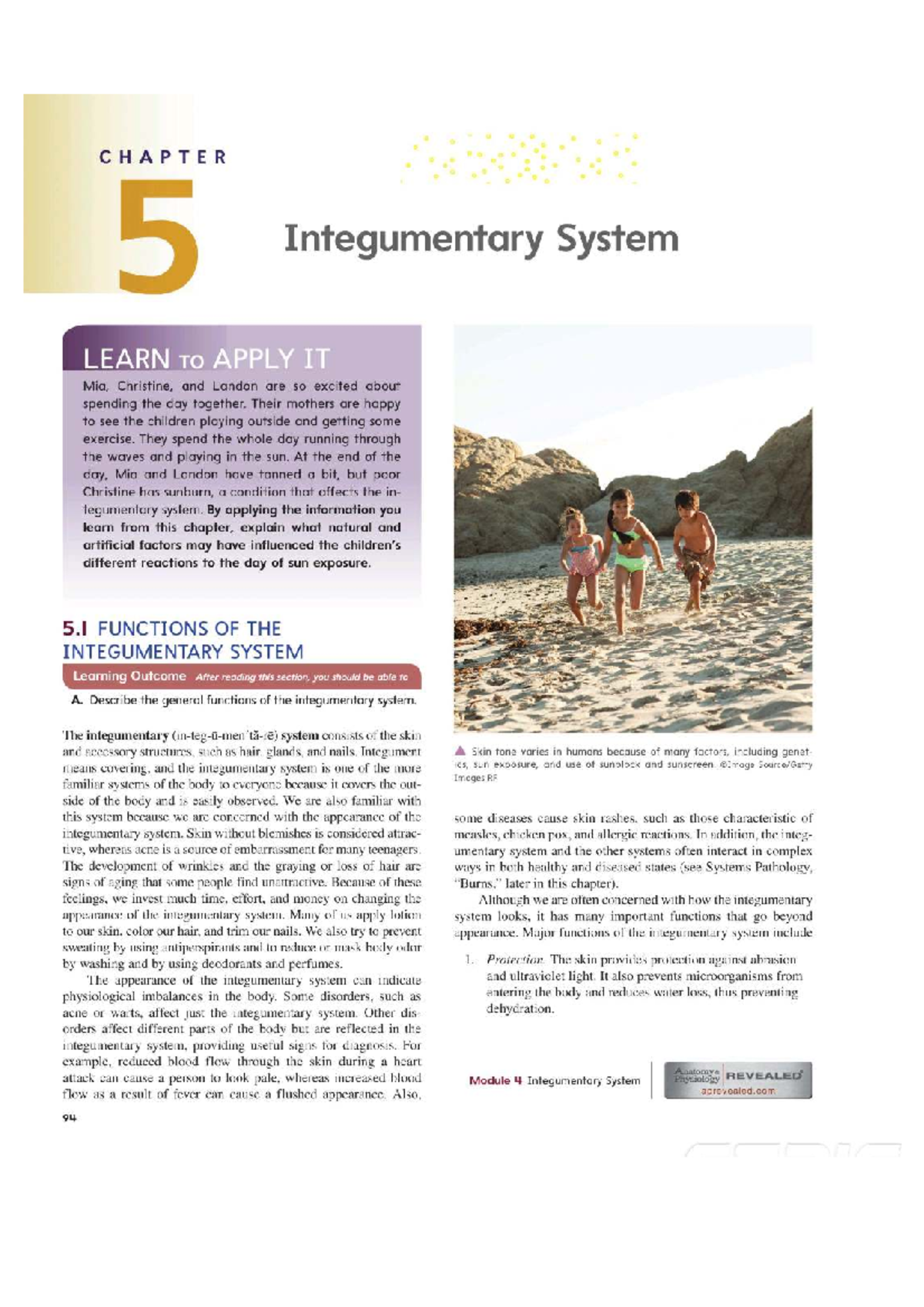 CHAPTER 5 Integumentary System: Functions and Clinical Implications ...