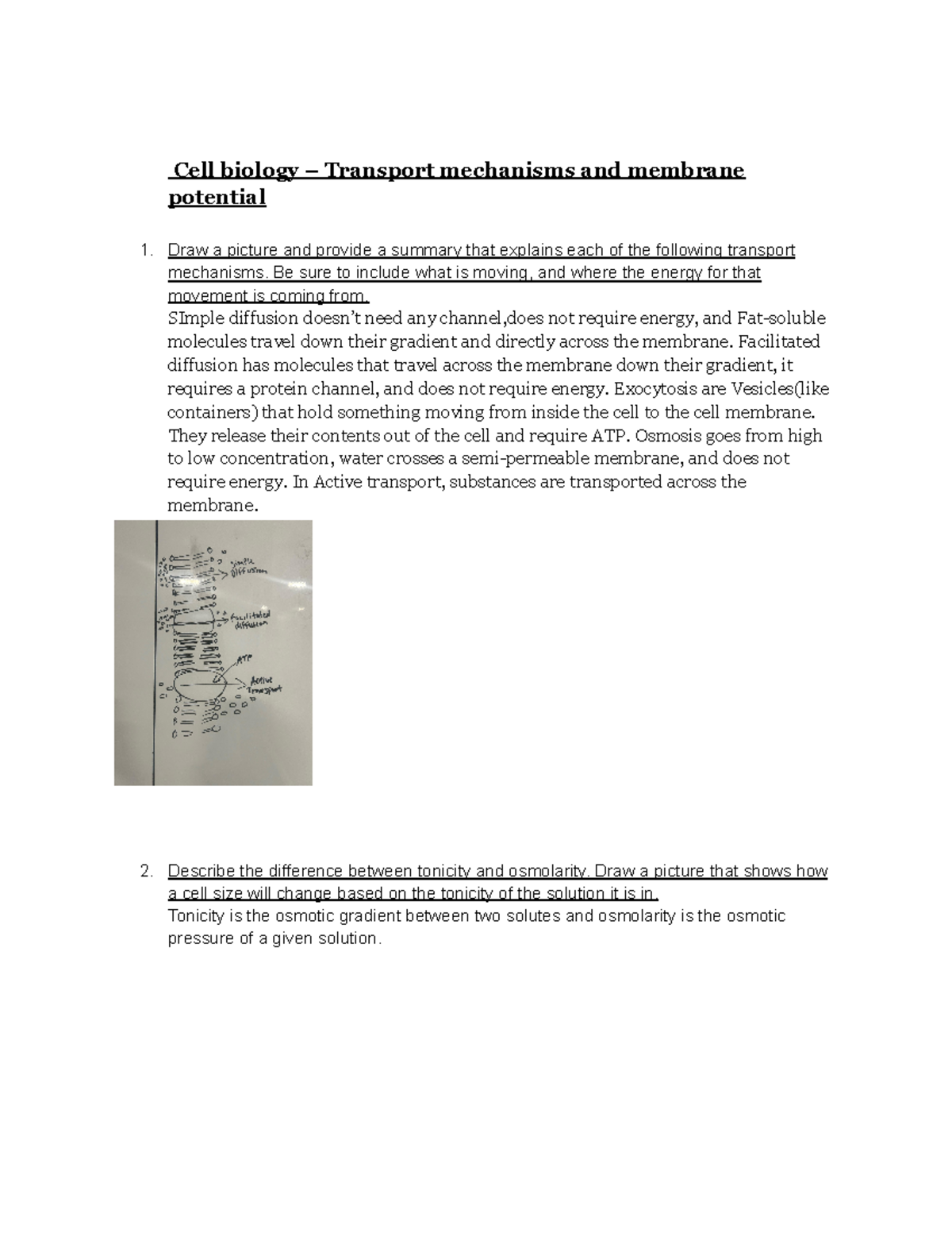 Cell biology – Transport mechanisms and membrane potential - Draw a ...