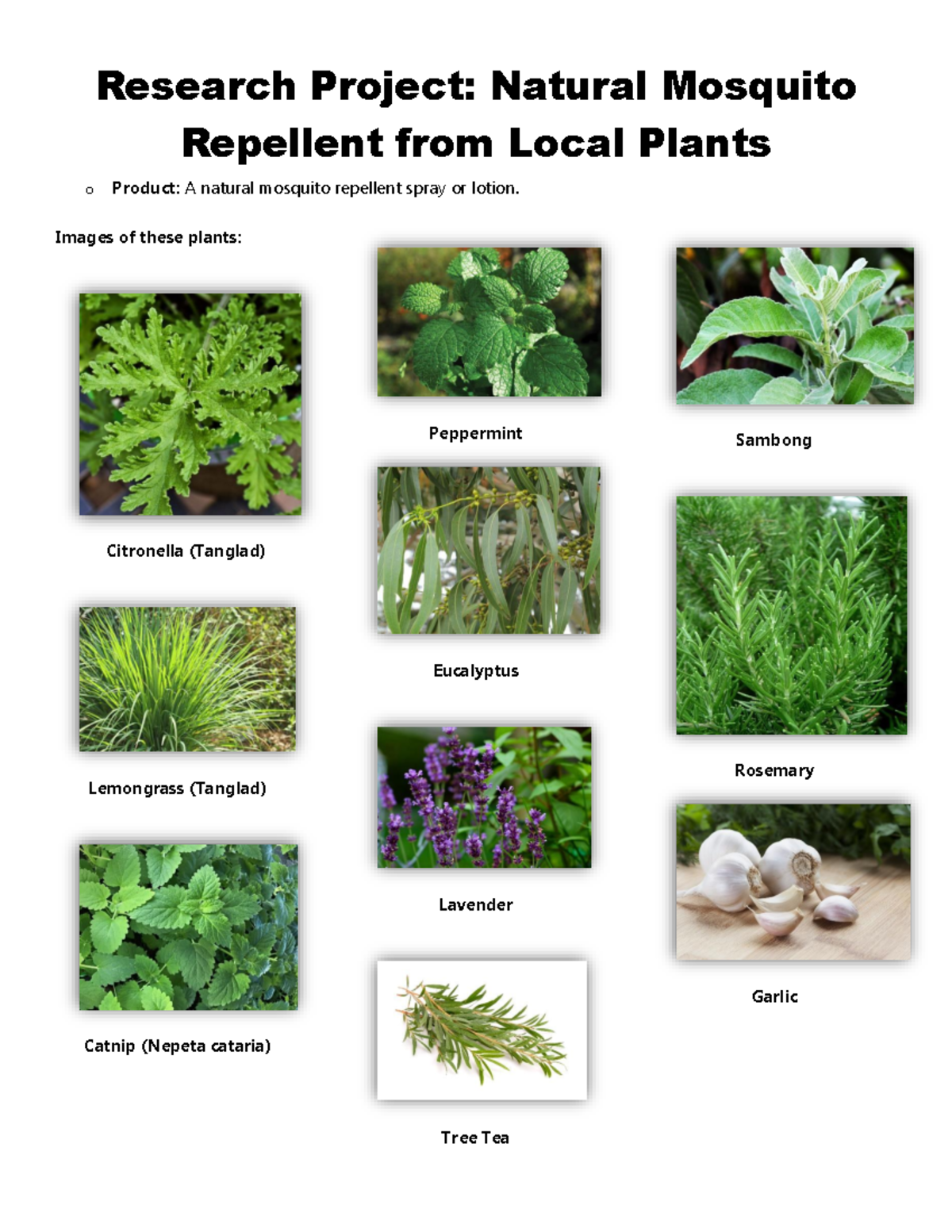 Biological Science Research - BS Biology - Research Project: Natural ...