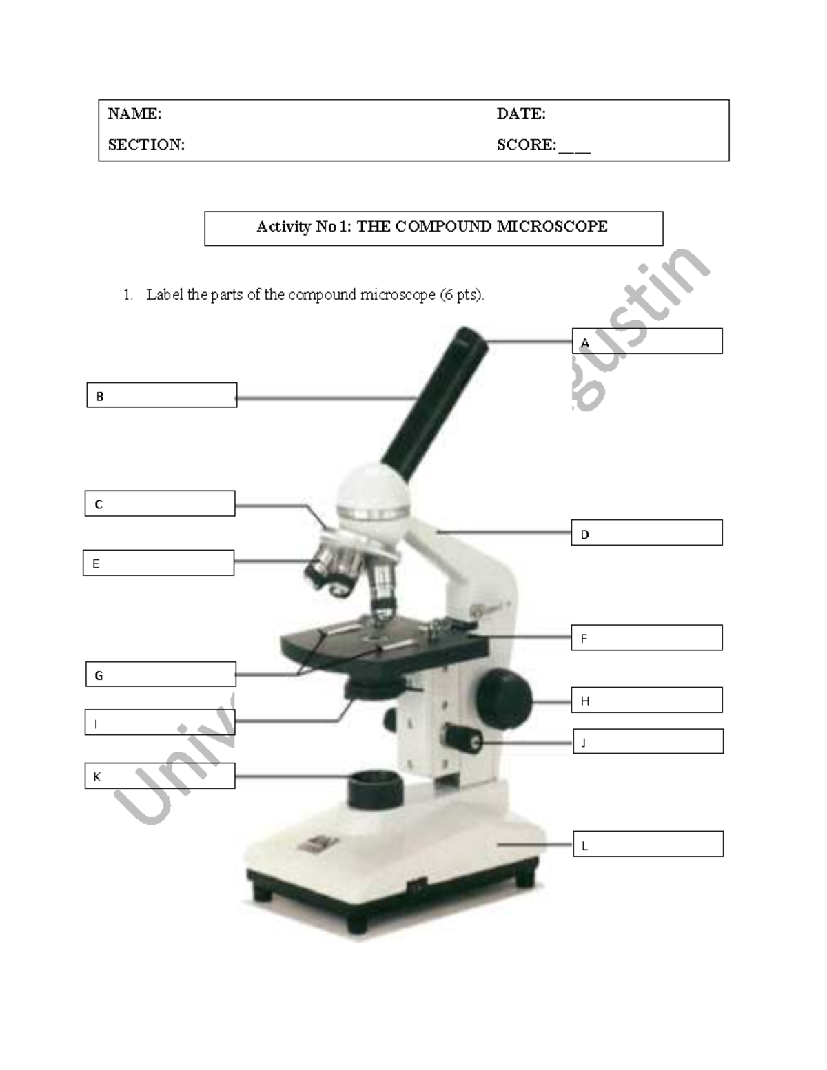 Activity 1: The Compound Microscope - Parts & Functions - Studocu