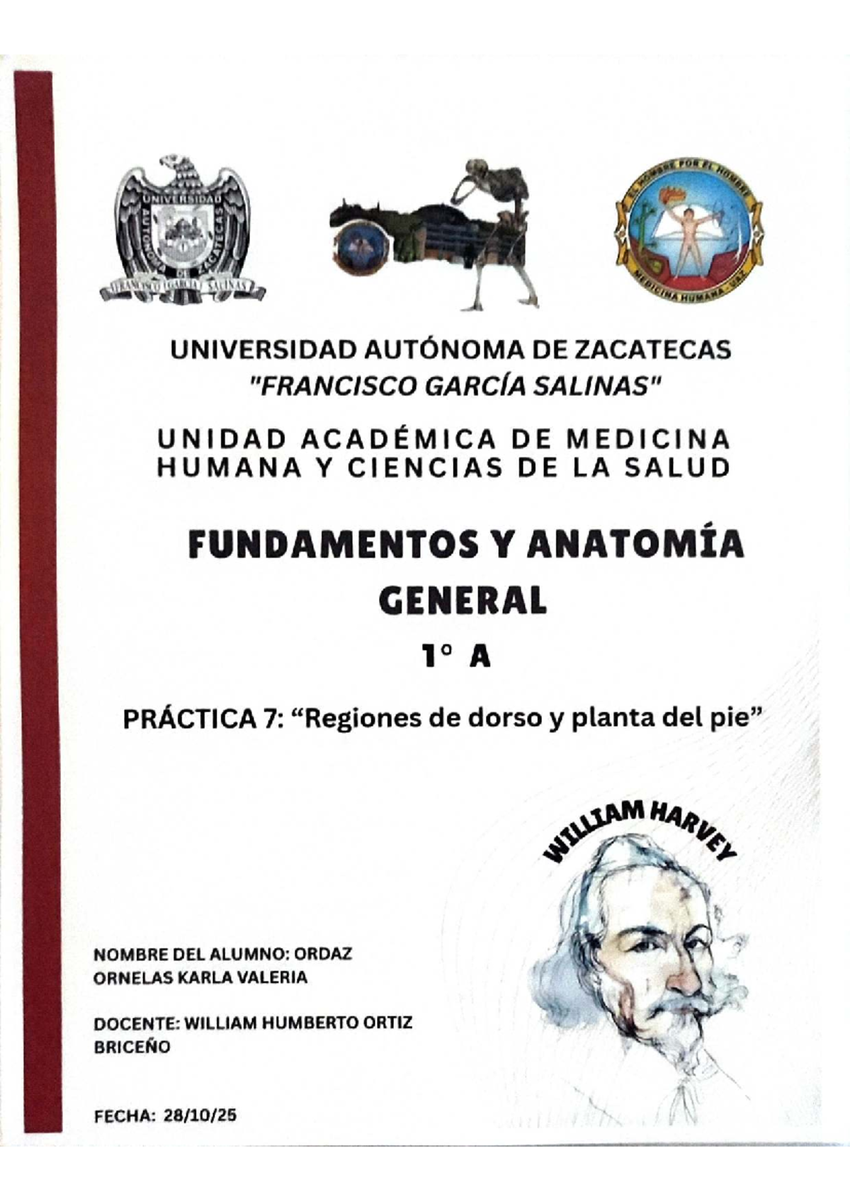 Práctica 7: Anatomía del Dorso y Planta del Pie - HU500 - Studocu