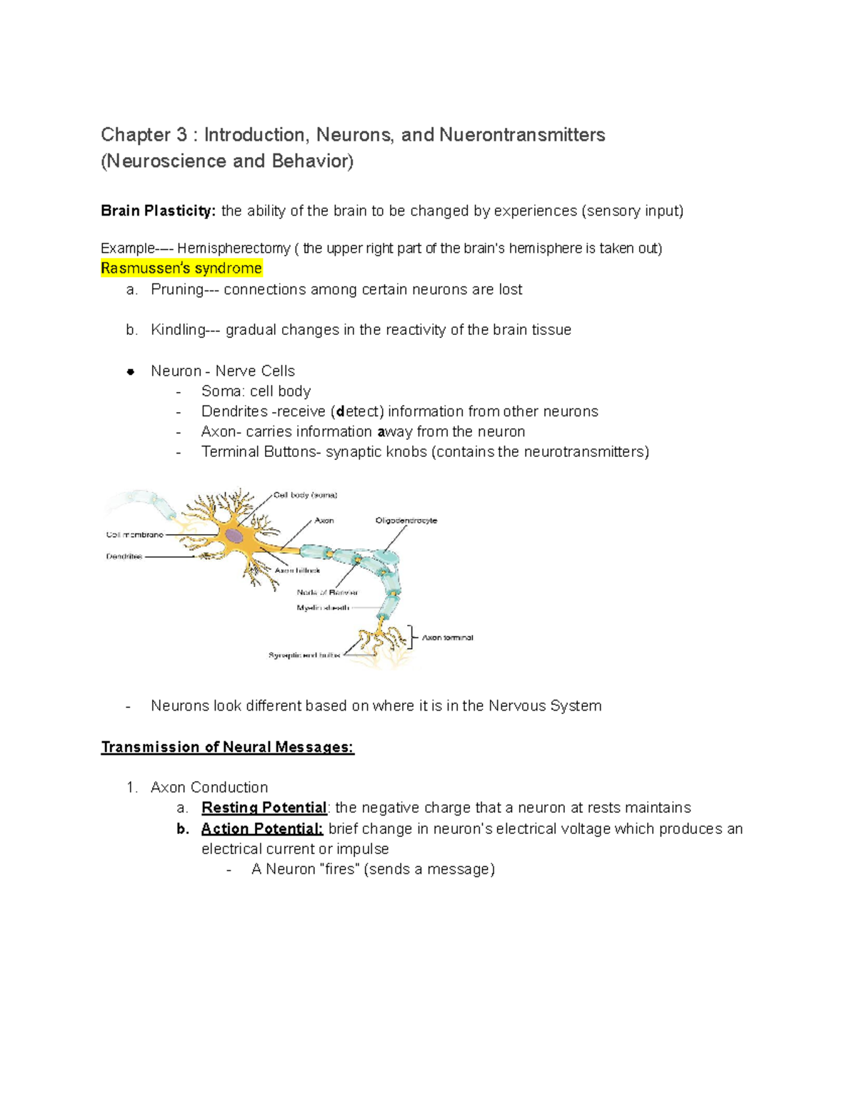 Chapter 3 - Neuroscience and Behavior: Neurons & Neurotransmitters ...