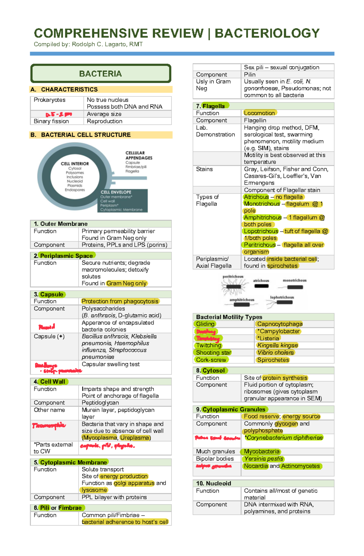COMPREHENSIVE REVIEW OF BACTERIOLOGY (BCT 101) - Study Notes - Studocu