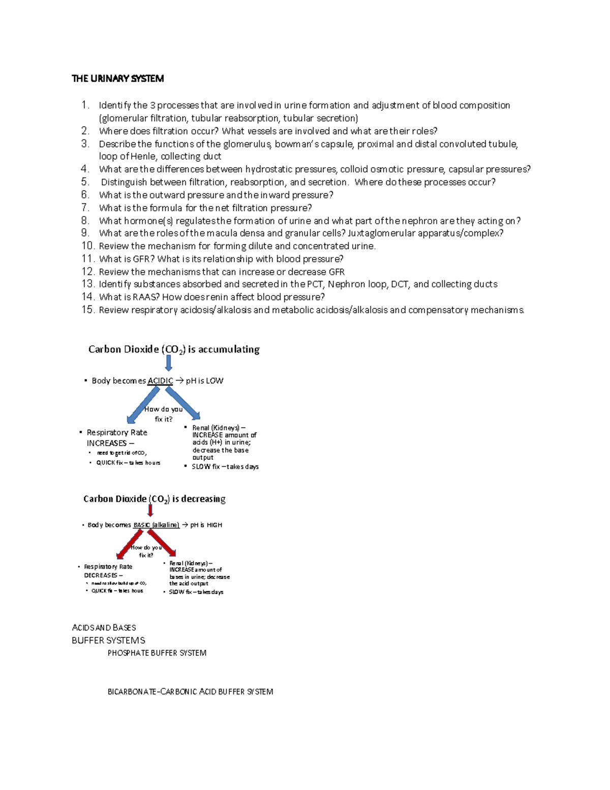 Lecture Notes on Urinary, Digestive, and Reproductive Systems - Studocu