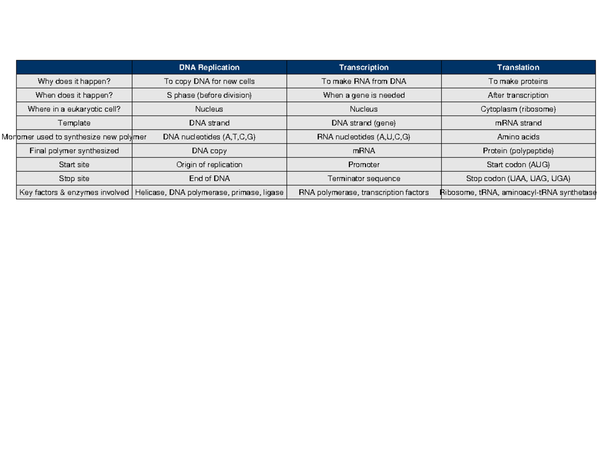 DNA Replication, Transcription & Translation Overview (Bio 101) - Studocu