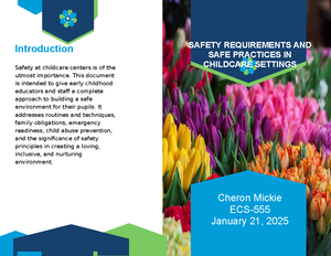 ECS 555 T1 Activities Template - Developmentally Appropriate Activities ...