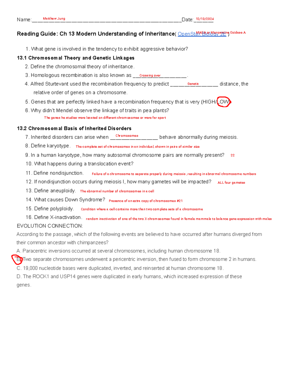 Kami Export - Matthew JUNG - 03 Modern Understandings of Inheritance ...