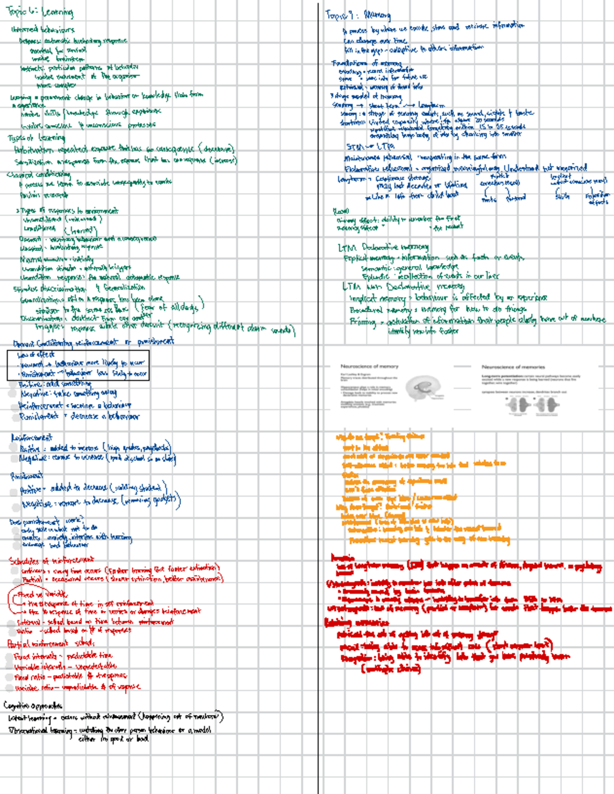 Untitled Notebook - Psych review high school - Topic 6 : Learning Topic ...