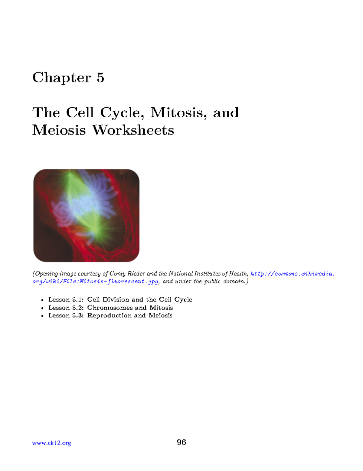 CK-12 Biology Chapter 5: Cell Cycle, Mitosis & Meiosis Worksheets - Studocu