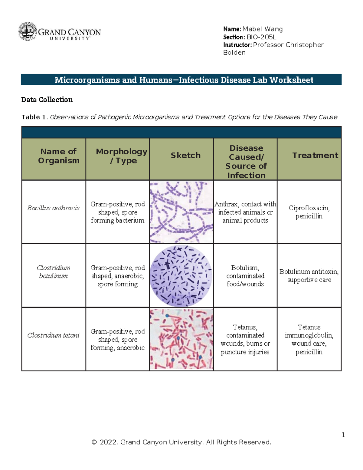 BIO-205L-RS Microorganisms and Disease Lab Worksheet - Studocu