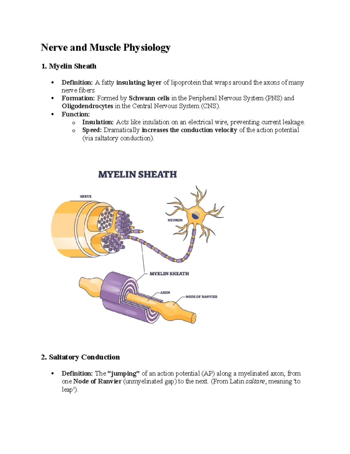 Nerve and Muscle Physiology 1: Key Concepts and Mechanisms - Studocu