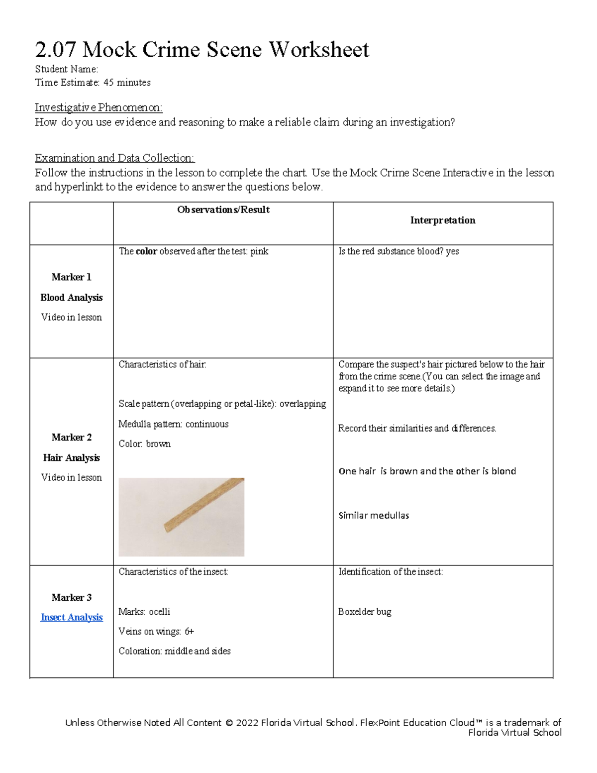 Mock Crime Scene Analysis 2 - Worksheet for Investigation - Studocu
