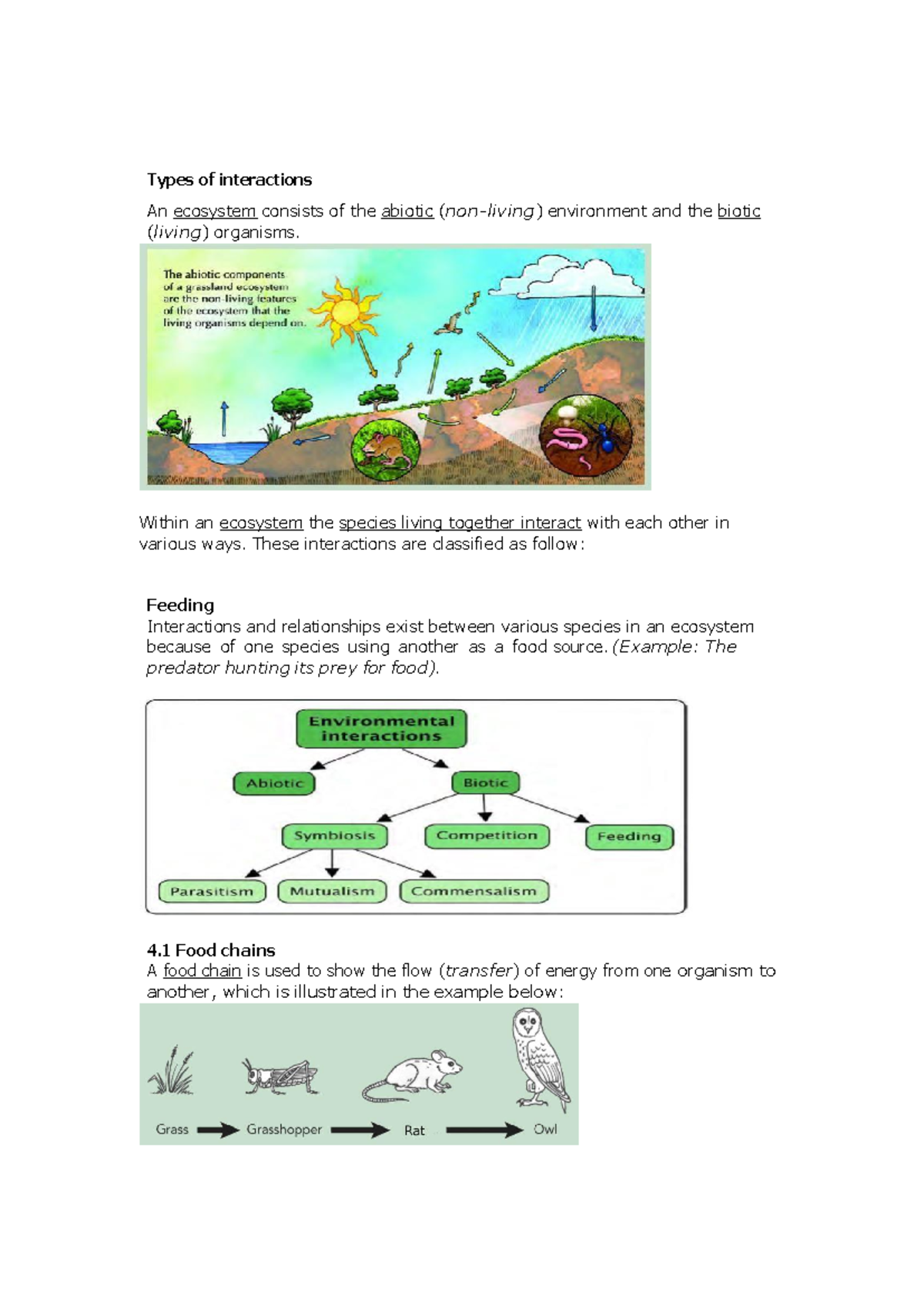 Types of Interactions in Ecosystems: Feeding Relationships and Food ...