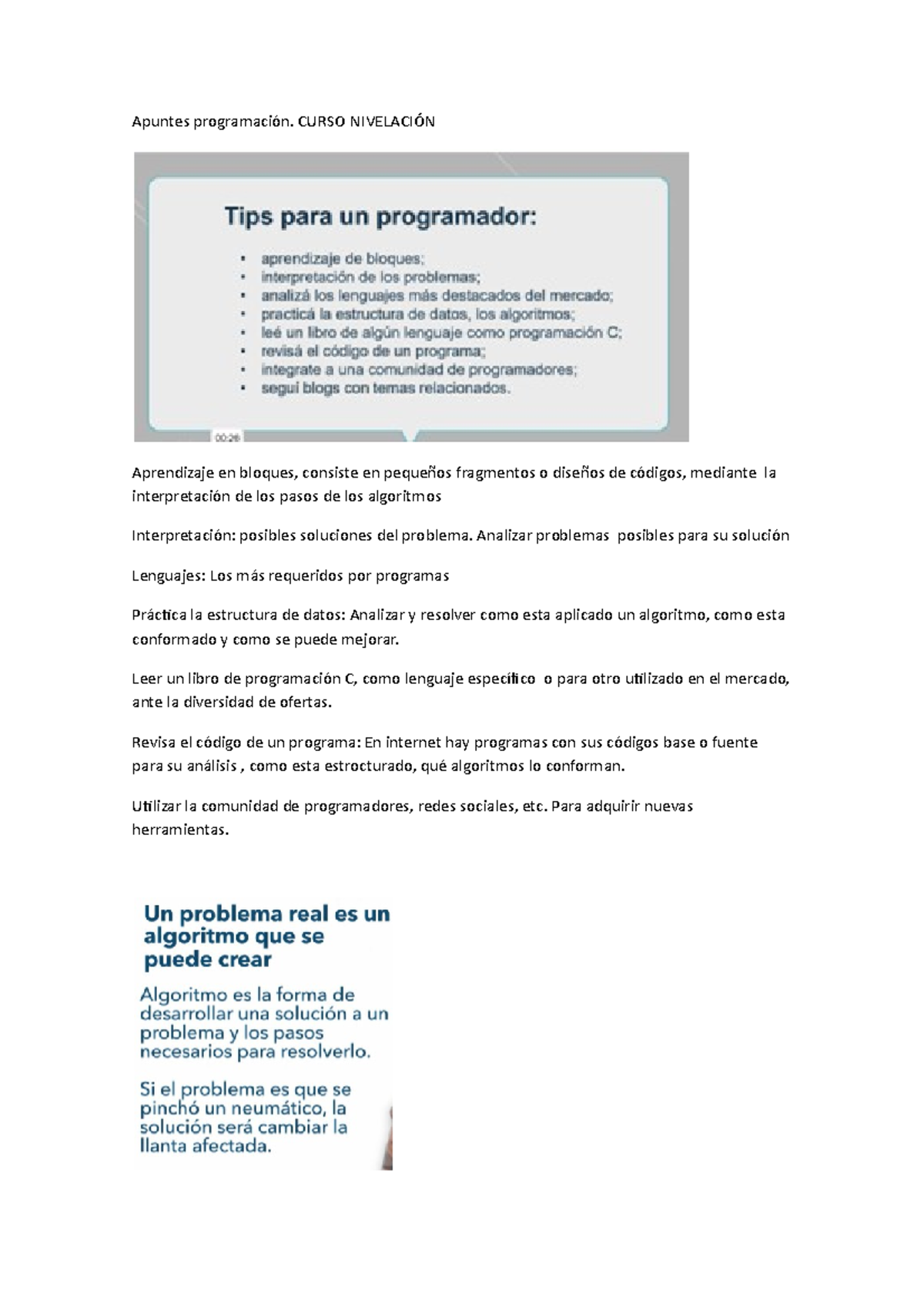 Apuntes de Programación 1: Herramientas y Algoritmos Esenciales - Studocu