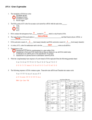 Gene Expression- Transcription Worksheet - Gene Expression ...