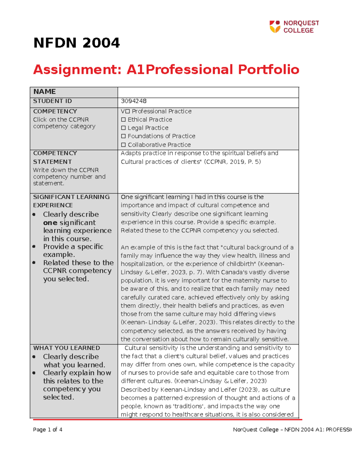 NFDN 2004 A1: Professional Portfolio on Cultural Competence in Nursing ...