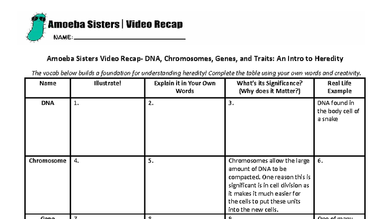 DNA, Chromosomes, Genes, and Traits: Amoeba Sisters Video Recap - Studocu