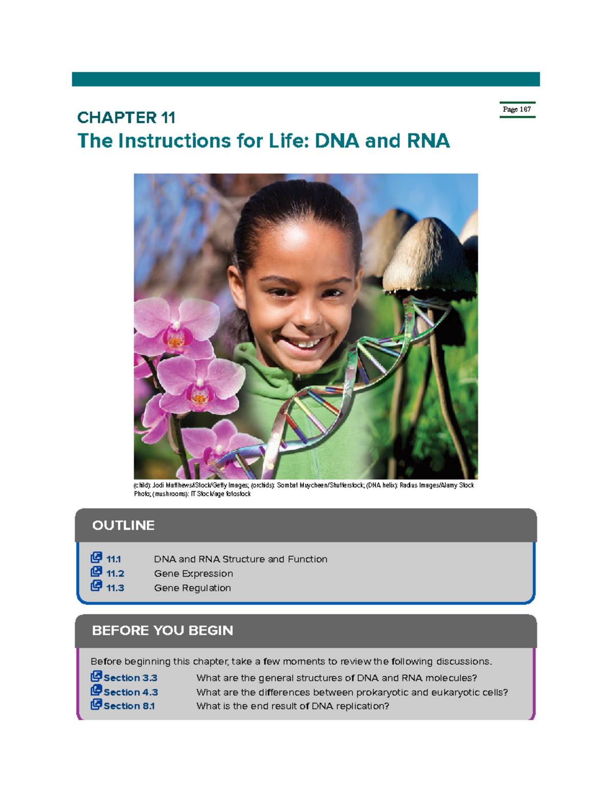 Chapter 11 - DNA and RNA: Structure, Function, and Gene Expression ...