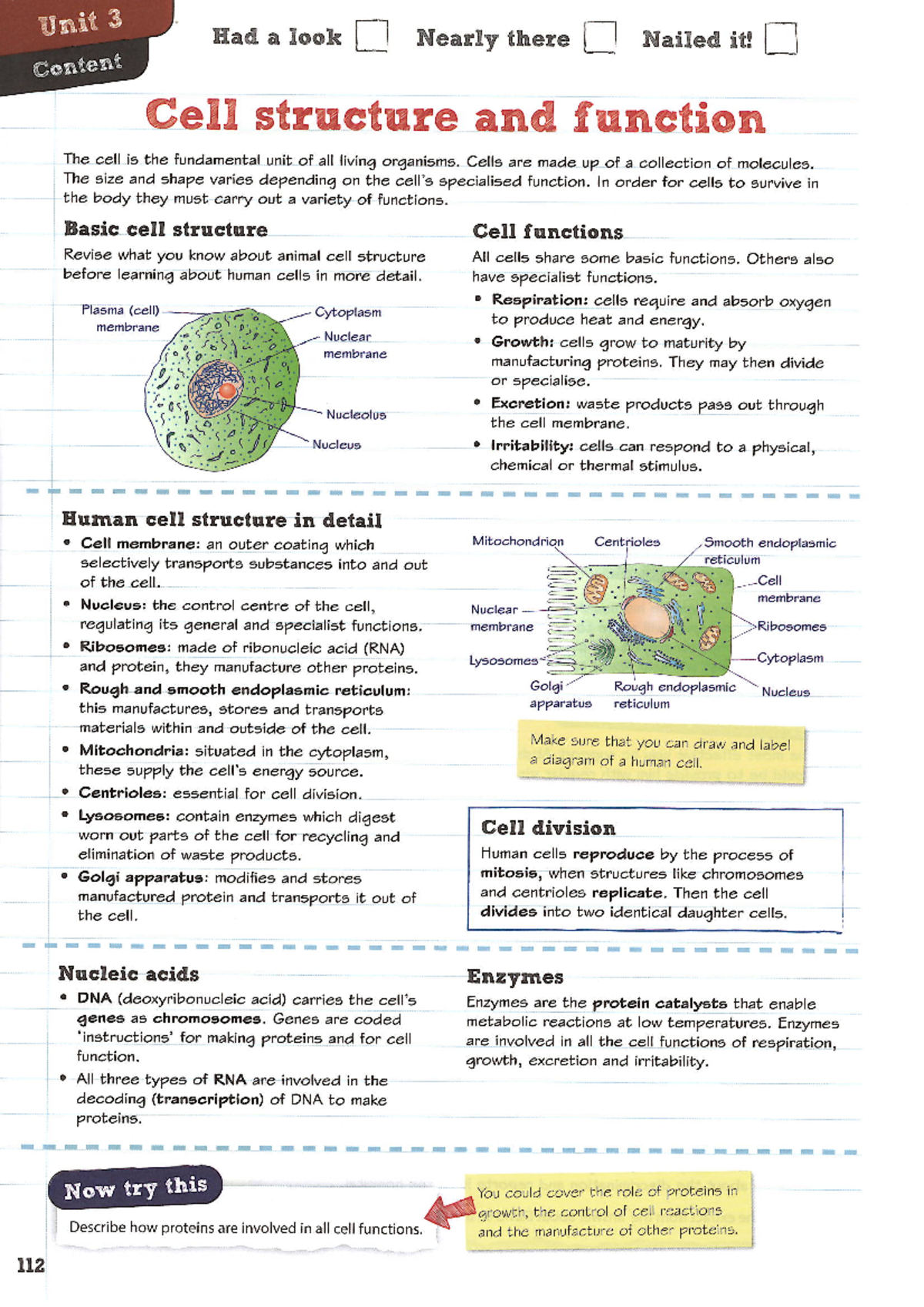 BTEC L3 Unit 3 Revision Guide: Cell Structure, Tissues & Homeostasis ...