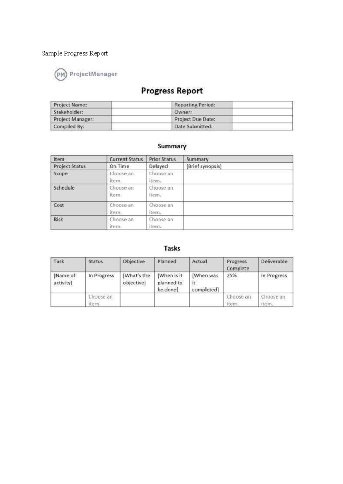 Sample Progress Report for PM Project Management (PM 101) - Studocu