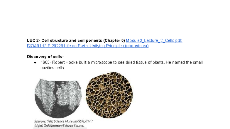BIOA01H3 F 20229: Cell Biology & Metabolism Post-Midterm Notes - Studocu