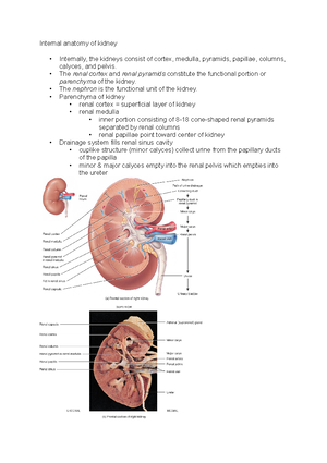 Mitosis risk assessment - Risk assessment This hazard table is all the ...