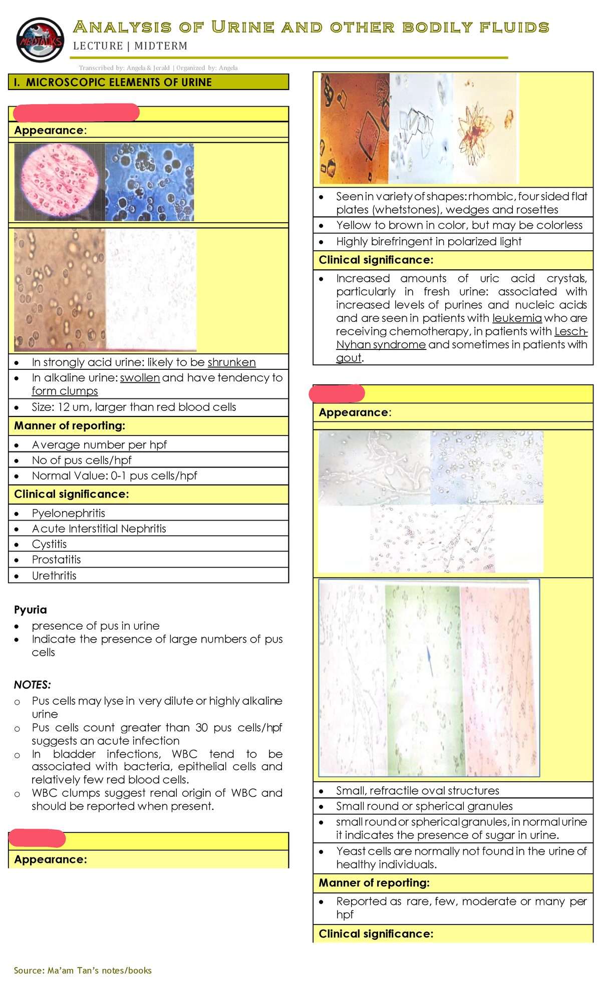 Microscopic Elements of Urine - AUBF Transcription Guide - Studocu