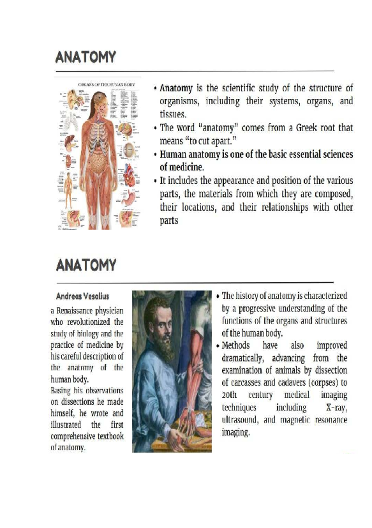 Anaphy Study Notes: Key Concepts and Insights - Studocu