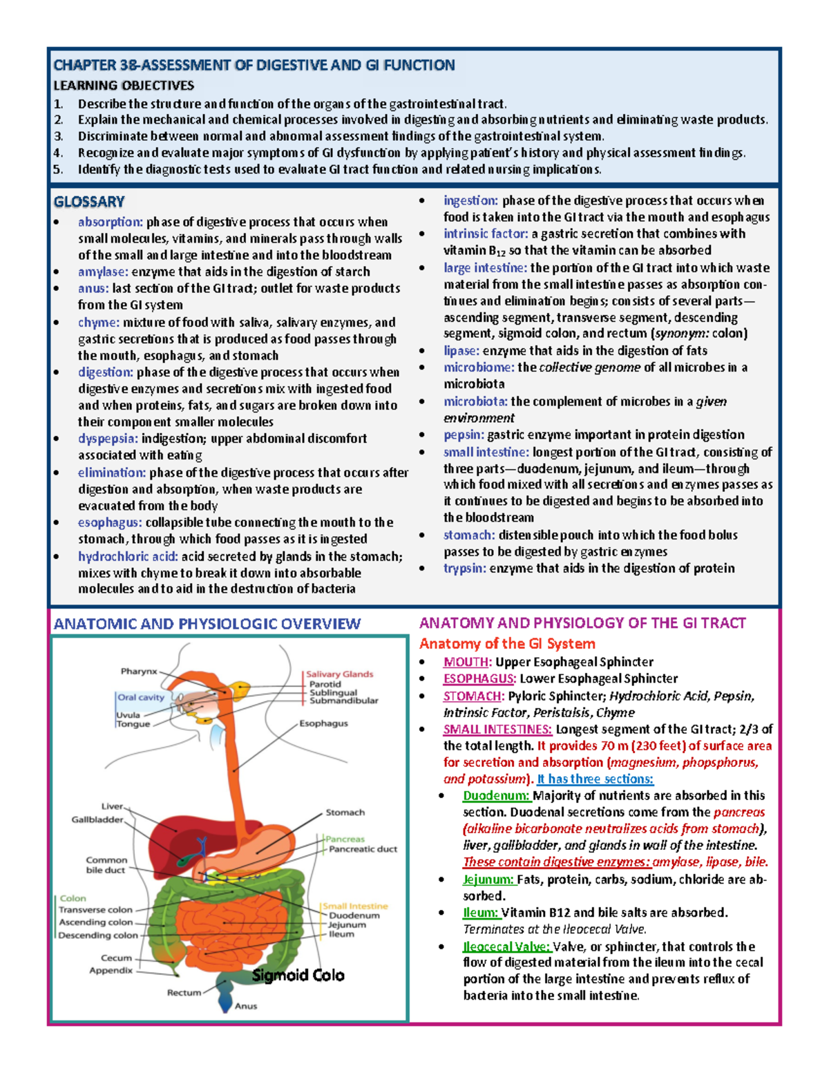 CHAPTER 38 - GI TRACT: STRUCTURE, FUNCTION & ASSESSMENT OBJECTIVES ...