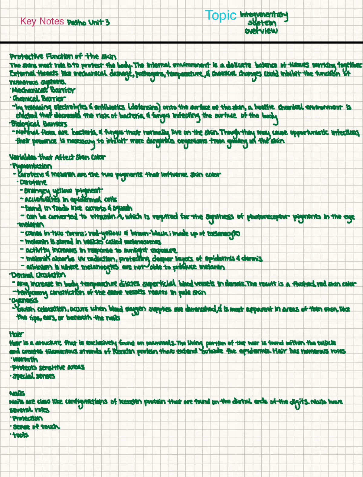 Patho Unit 3: Integumentary System Key Notes and Functions - Studocu