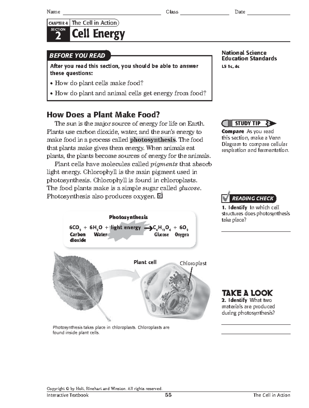 Cell Energy - Copyright © by Holt, Rinehart and Winston. All rights reserved. SECTION 2 Cell ...