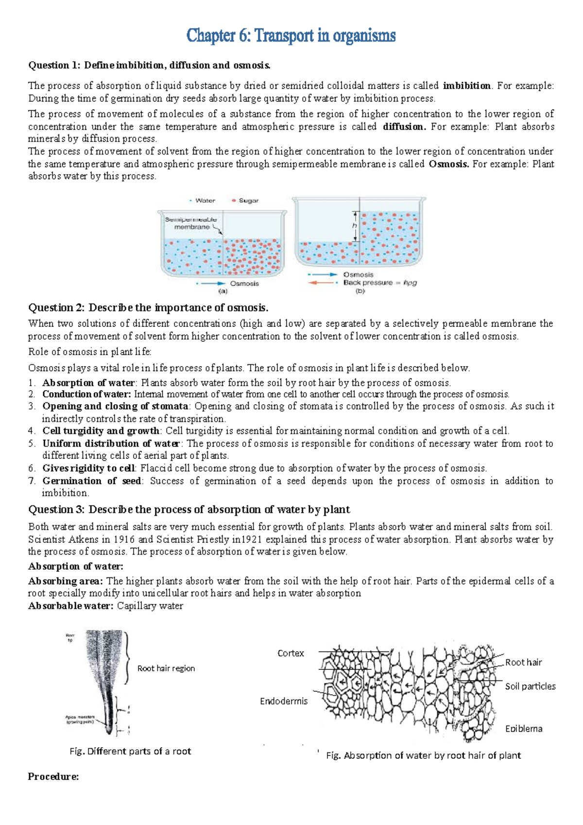 Biology 101: Blood Circulation and Plant Water Absorption Processes ...