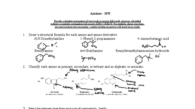 Amines HW 2025 - Detailed Homework Completion Guide - Studocu