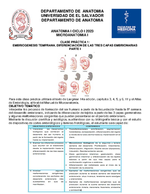 Laboratorio N° 8: Normas Craneales y Anatomía del Ojo - ANATOMÍA CICLO ...