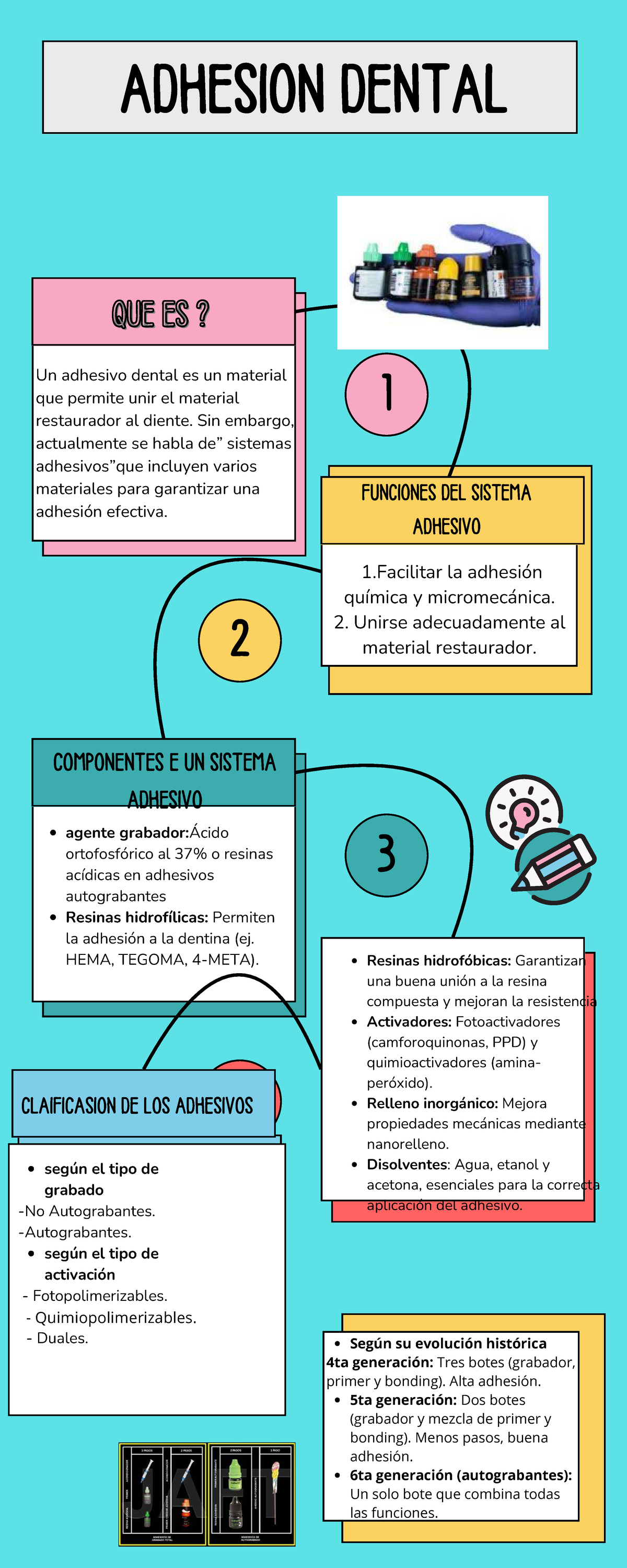 Etapas del Proceso de Adhesión Dental: Infografía Detallada - Studocu