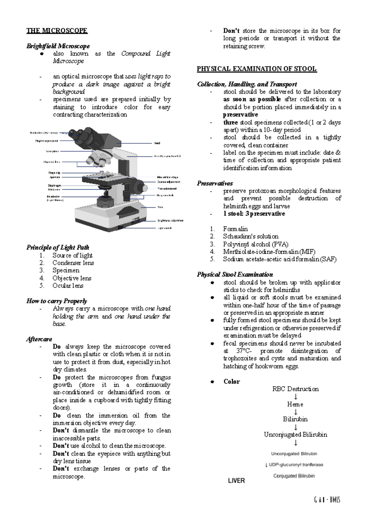 Prelim PARA-LAB - Study well - THE MICROSCOPE Brightfield Microscope ...
