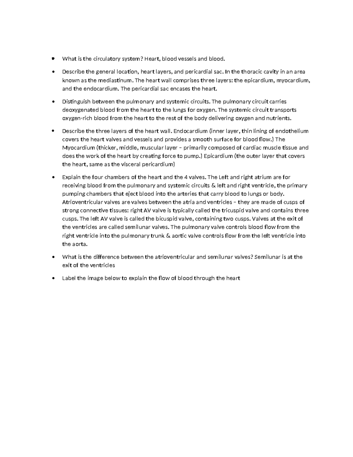 Week 2 Heart Reading Guide - What is the circulatory system? Heart ...