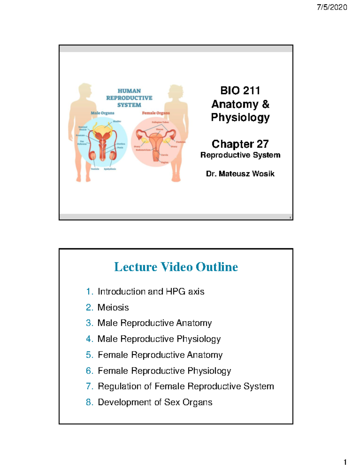 BIO 211 Anatomy Physiology Chapter 27: Reproductive System Overview ...