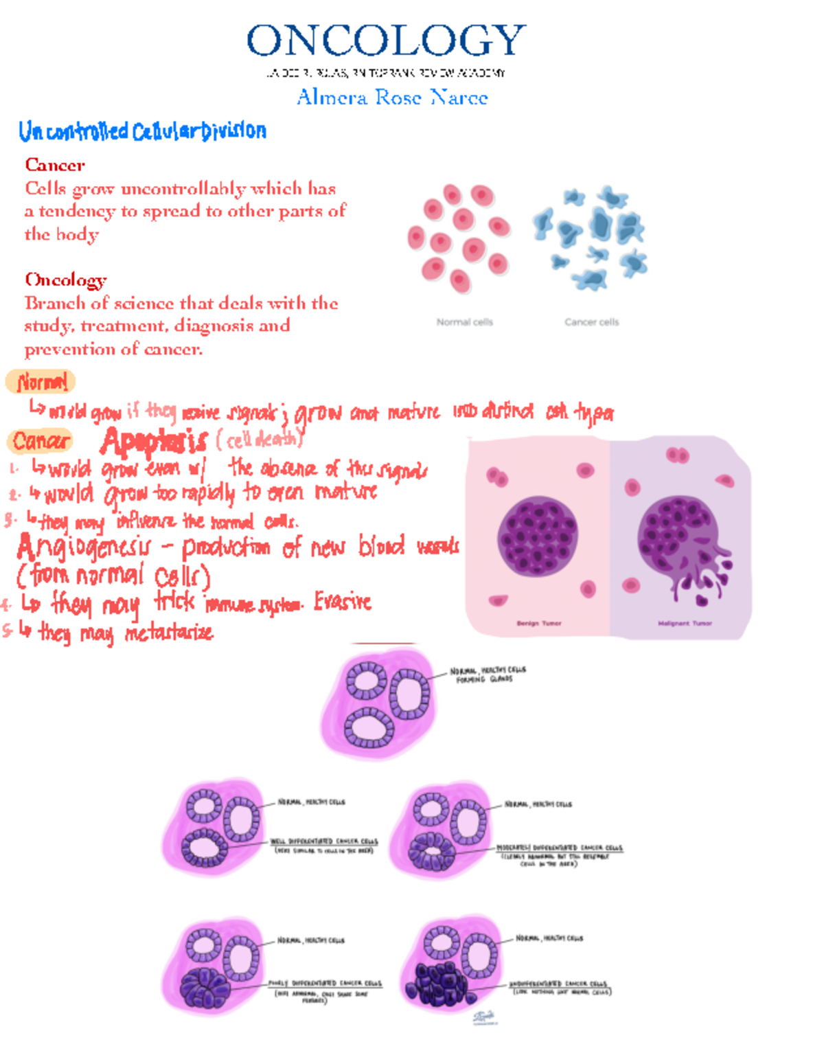 Oncology Nursing Lecture Notes: Understanding Cancer Care and Treatment ...