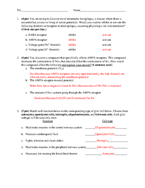 Visual Pathway Chart - RGC Type LGN Type LGN Layers V1 Layers Function ...