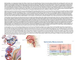 AP2mod7pics - AP 2 module 7 photos to study from - Urinary Kidneys ...