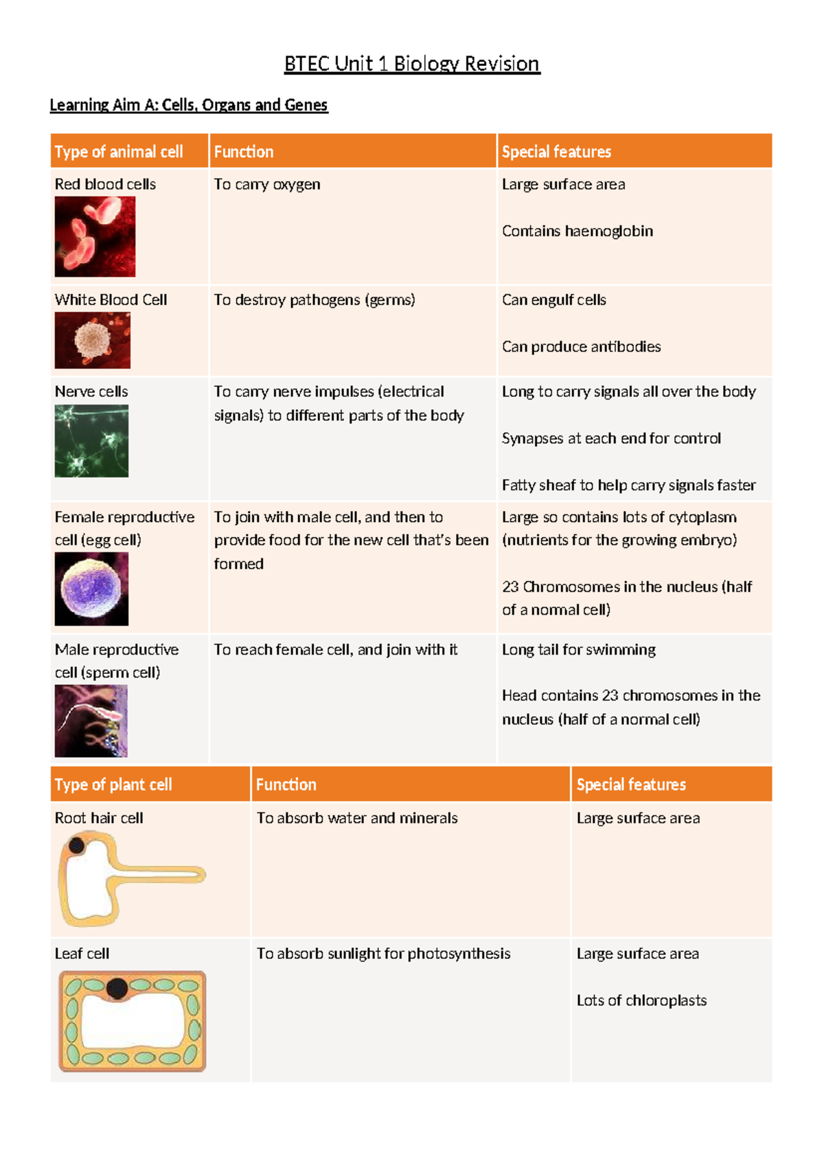 BTEC Unit 1 Biology Revision: Cells, Organs, and Genes Overview - Studocu