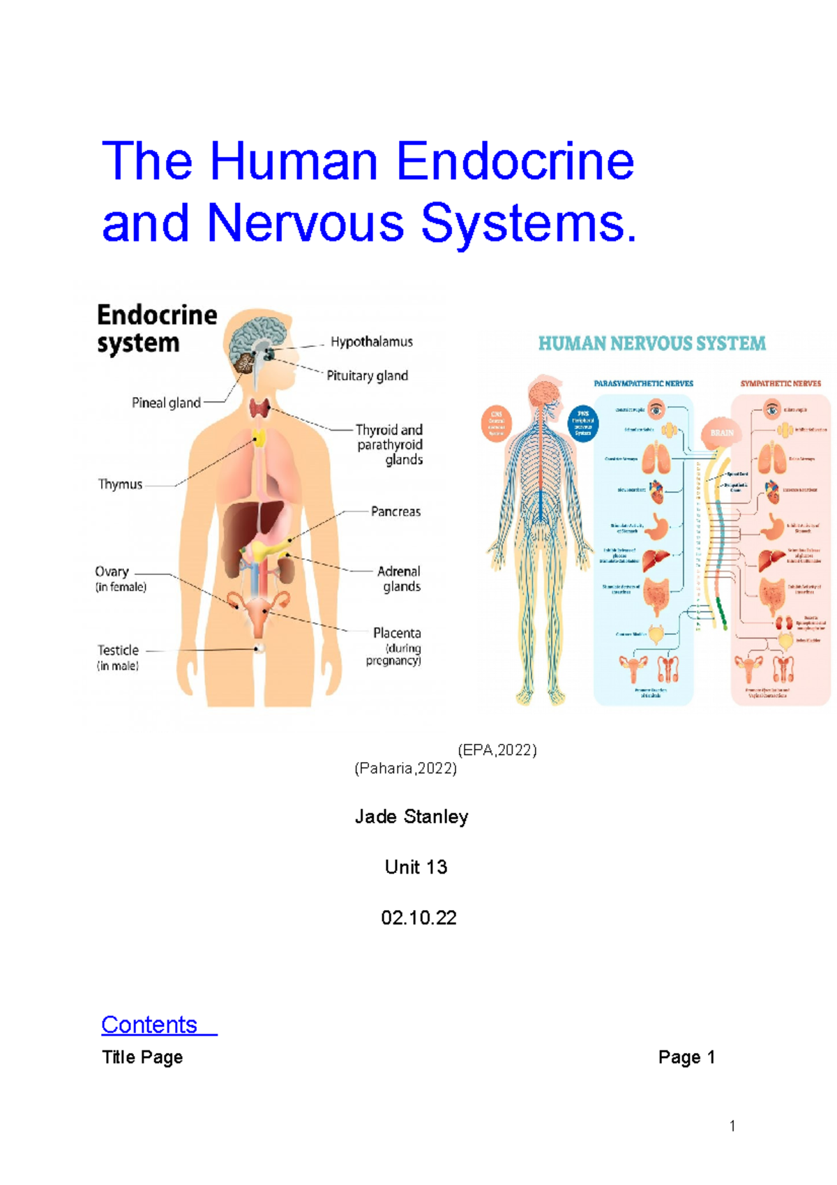 Unit 13: Final Exam on Human Endocrine and Nervous Systems - Studocu