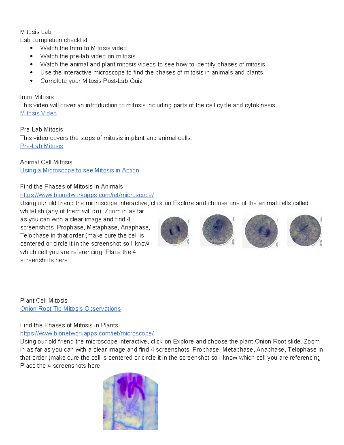 Mitosis Lab - Checklist and Video Guide for Lab Completion - Studocu
