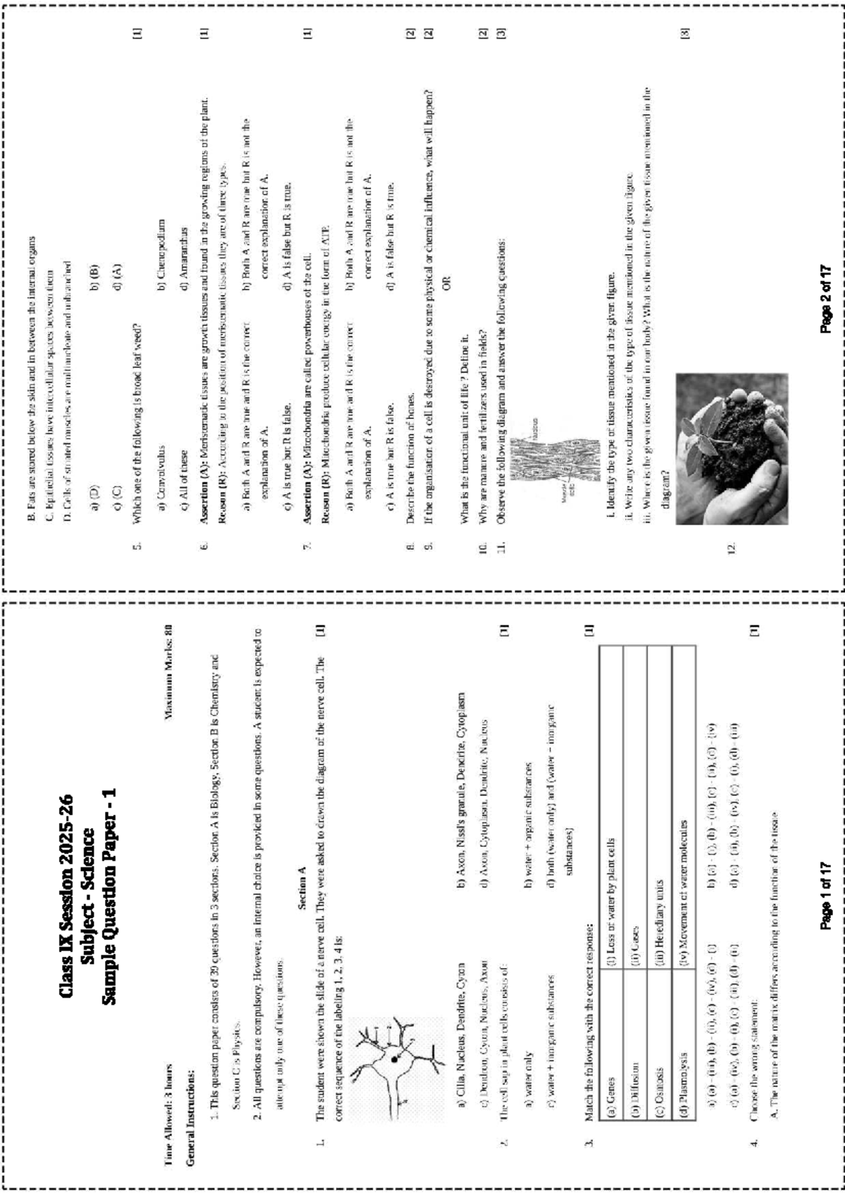 Class IX Science Sample Question Paper (SQP) - Studocu