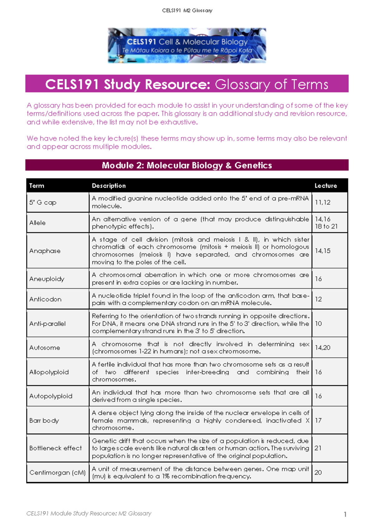 CELS191 M2 Glossary of Key Terms in Molecular Biology - Studocu