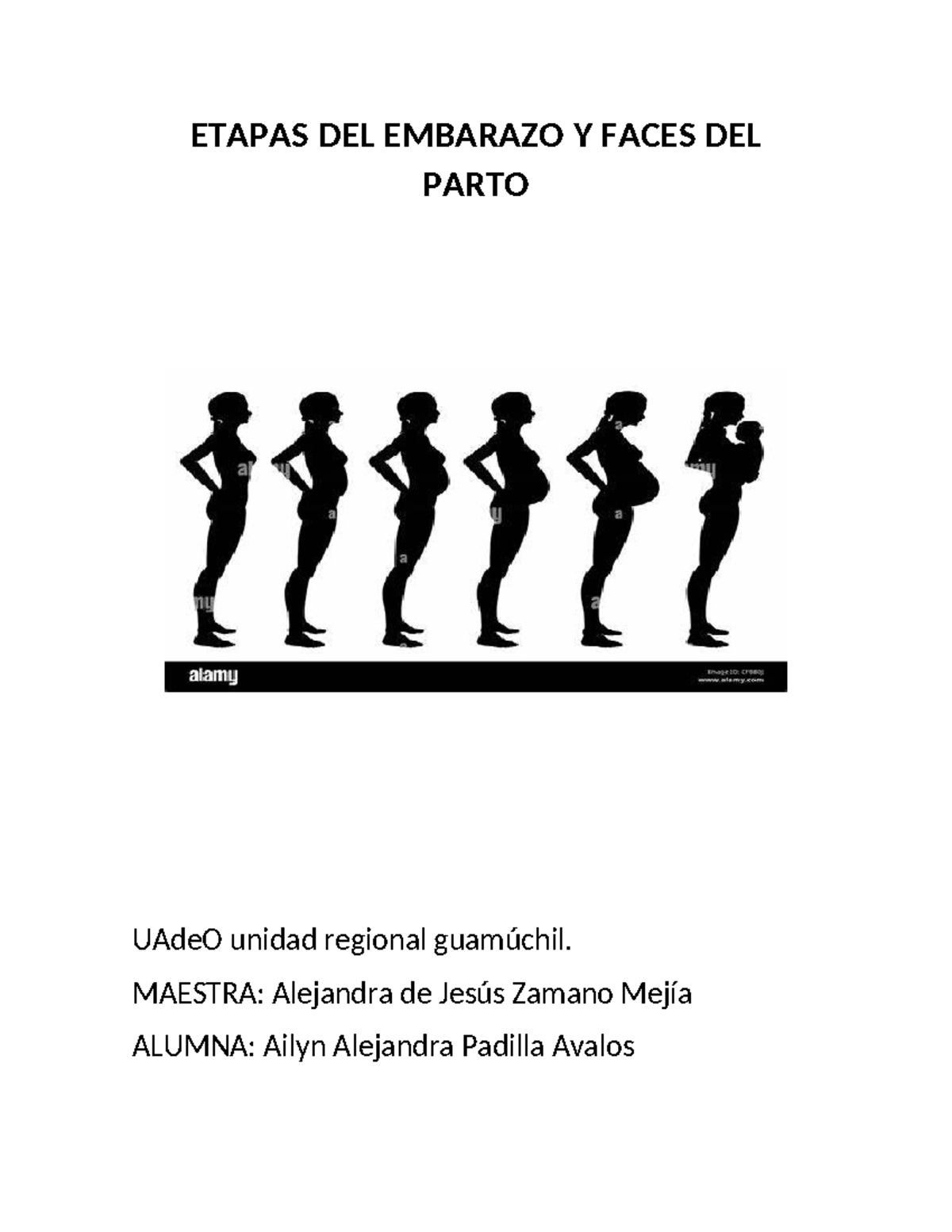 Etapas DEL Embarazo Y Faces DEL Parto - ETAPAS DEL EMBARAZO Y FACES DEL ...