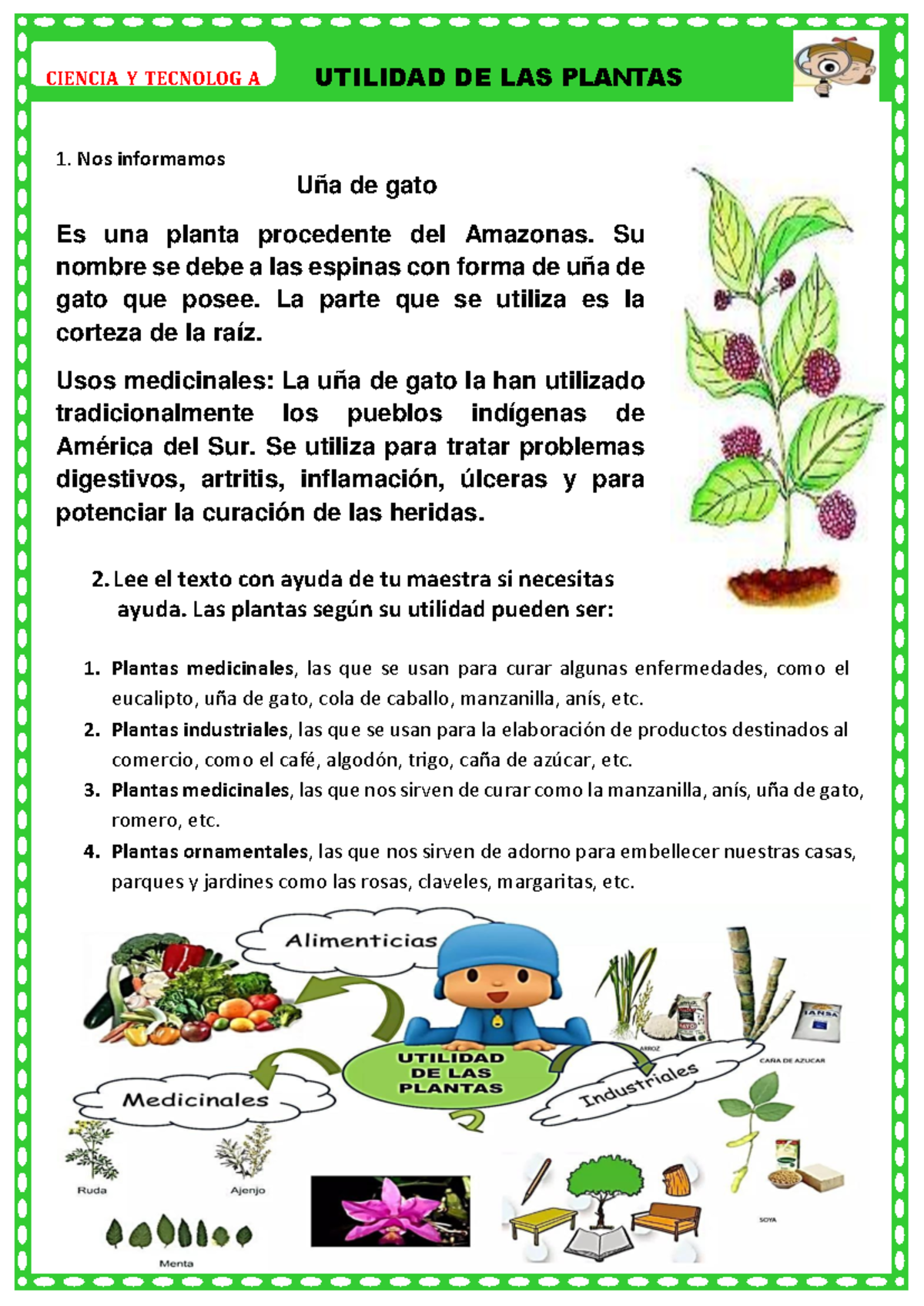 Utilidad de las Plantas - Ficha CT.15 de Julio OKK - Studocu