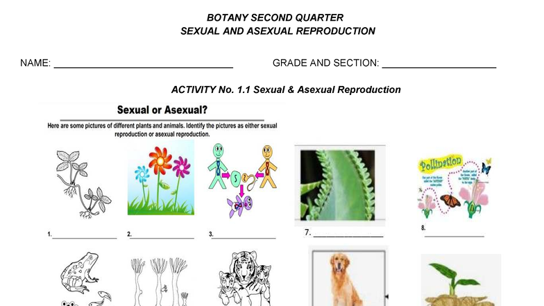 BOTANY 2ND QTR ACTIVITY 1.1: SEXUAL & ASEXUAL REPRODUCTION - Studocu