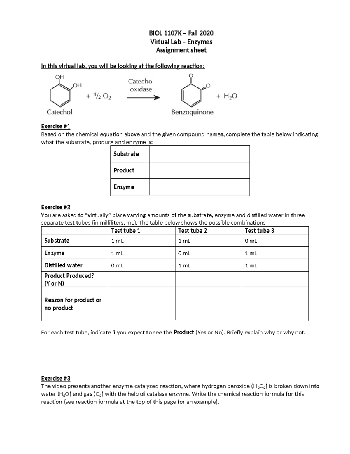 BIOL 1107K - Fall 2020 Enzyme Virtual Lab Assignment Sheet - Studocu
